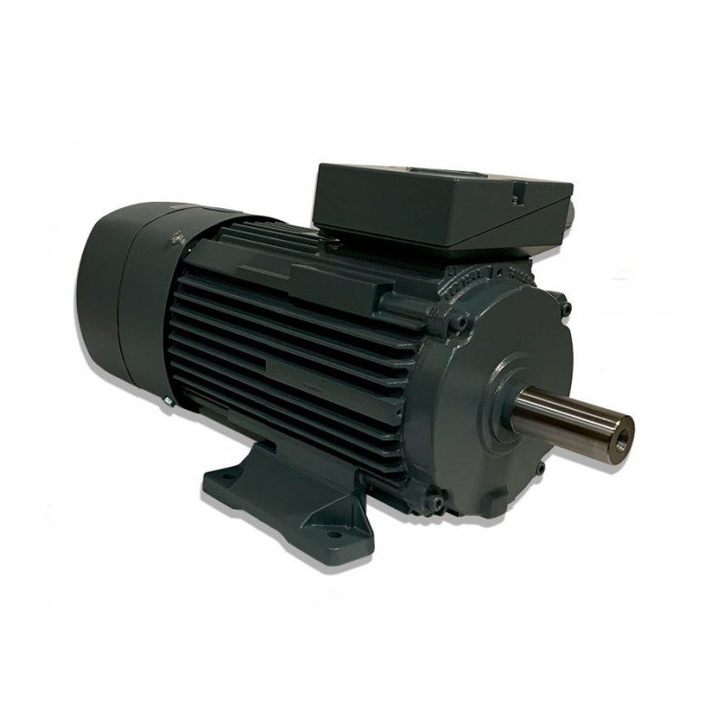 Moteur W41R 132 S6HR 3.0/6 B3 FREIN - MVI